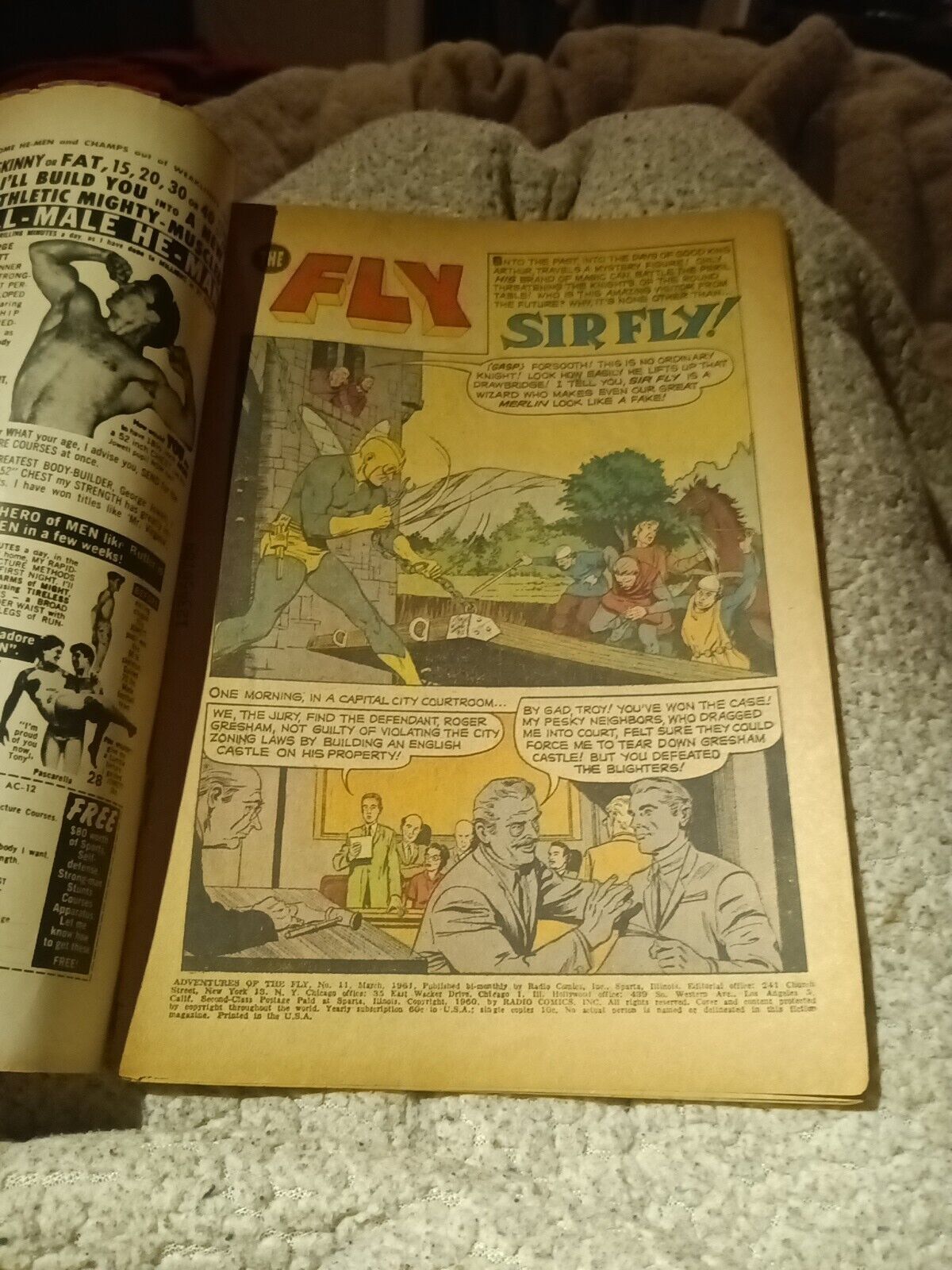 Adventures of The Fly #11 Mlj 1961 Archie Comics Mighty Silver Age ...