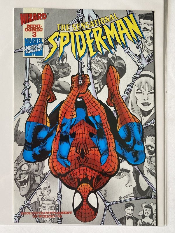 The Maxx #2 High-Grade Image/Wizard Mini-Comic Sam Kieth Art ...