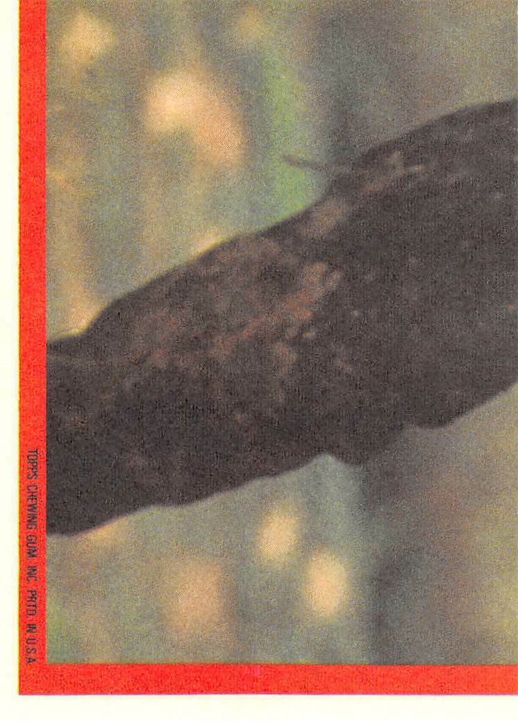 1985 Topps Rambo First Blood Part II Sticker #11 John Rambo > Sylvester ...