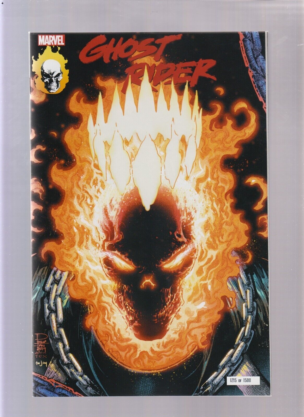 Ghost Rider #1 - Limited Glow in the Dark Edition (9/9.2) 2019 | Comic ...