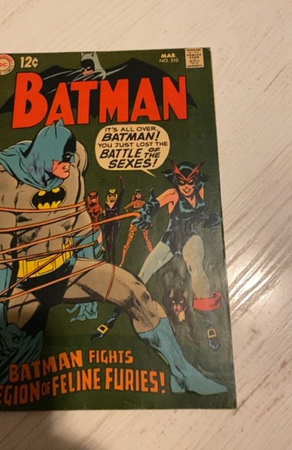 Batman #210 (1969)Legion of feline furies/ see description | Comic ...