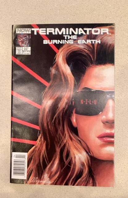 The Terminator: The Burning Earth #2 (1990) Early Alex Ross Art ...