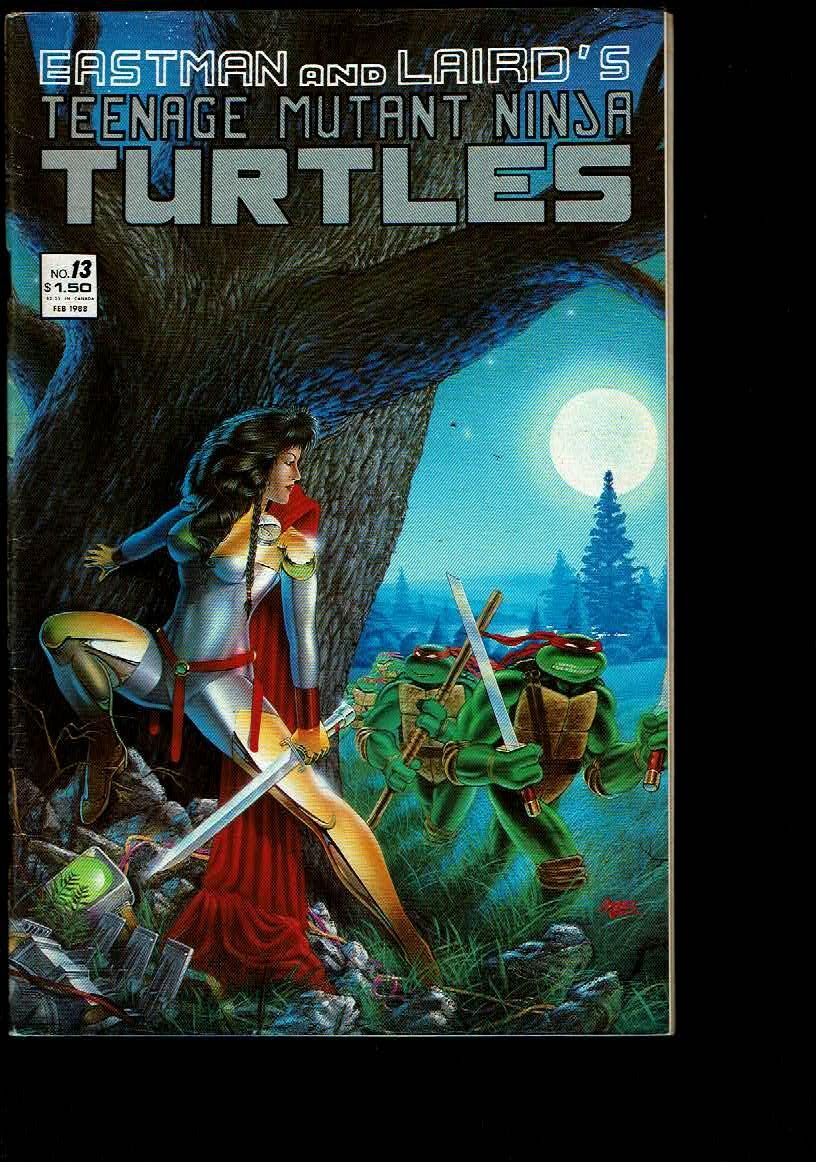 Teenage Mutant Ninja Turtles #13 (1988)KEY! 1st Appearance & Cover Of ...