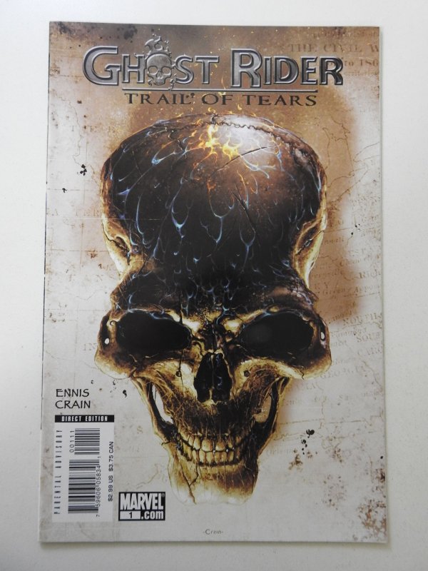 Ghost Rider: Trail of Tears #1 (2007) FN/VF Condition! | Comic Books ...