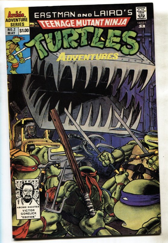TEENAGE MUTANT NINJA TURTLES ADVENTURES #2--comic book--2nd ISSUE--1989 ...