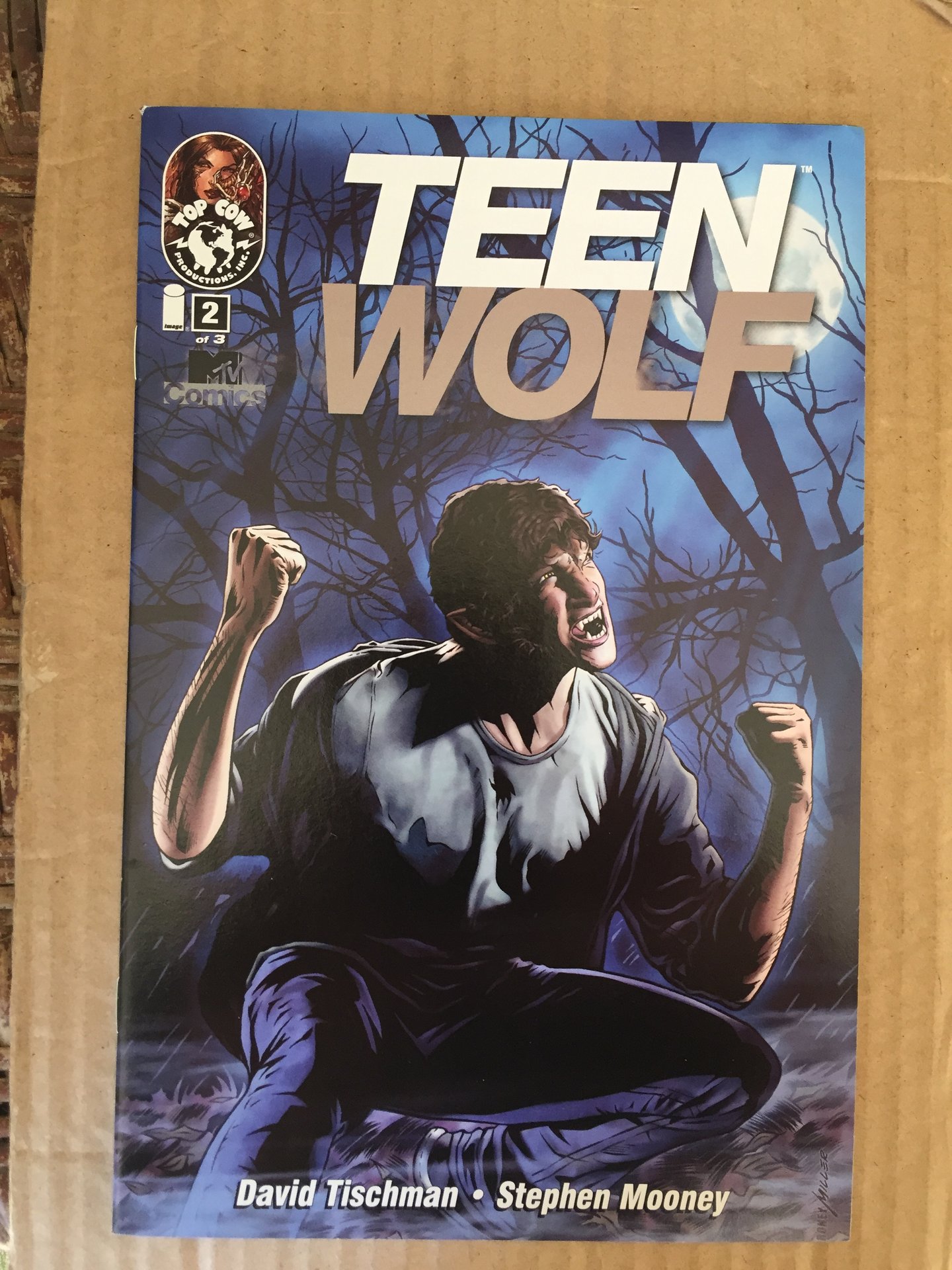 Teen Wolf #2 | Comic Books - Modern Age, Top Cow, Movie, TV & Radio ...