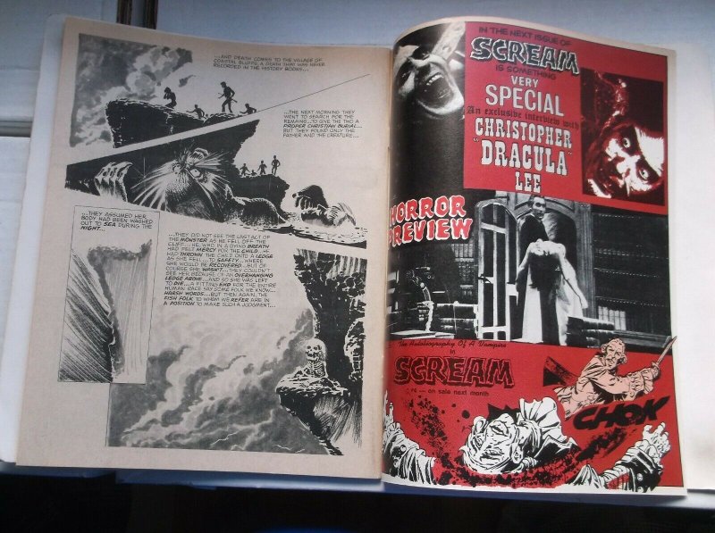 Skywald: Psycho #16, "The OLD Vampire Lady", Cool Creepy Cover, 1971 ...