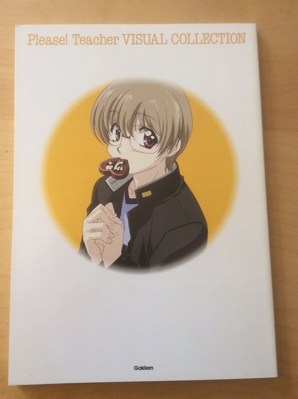 Please Teacher Visual Collection Megami Magazine Special Anime Gakken ...