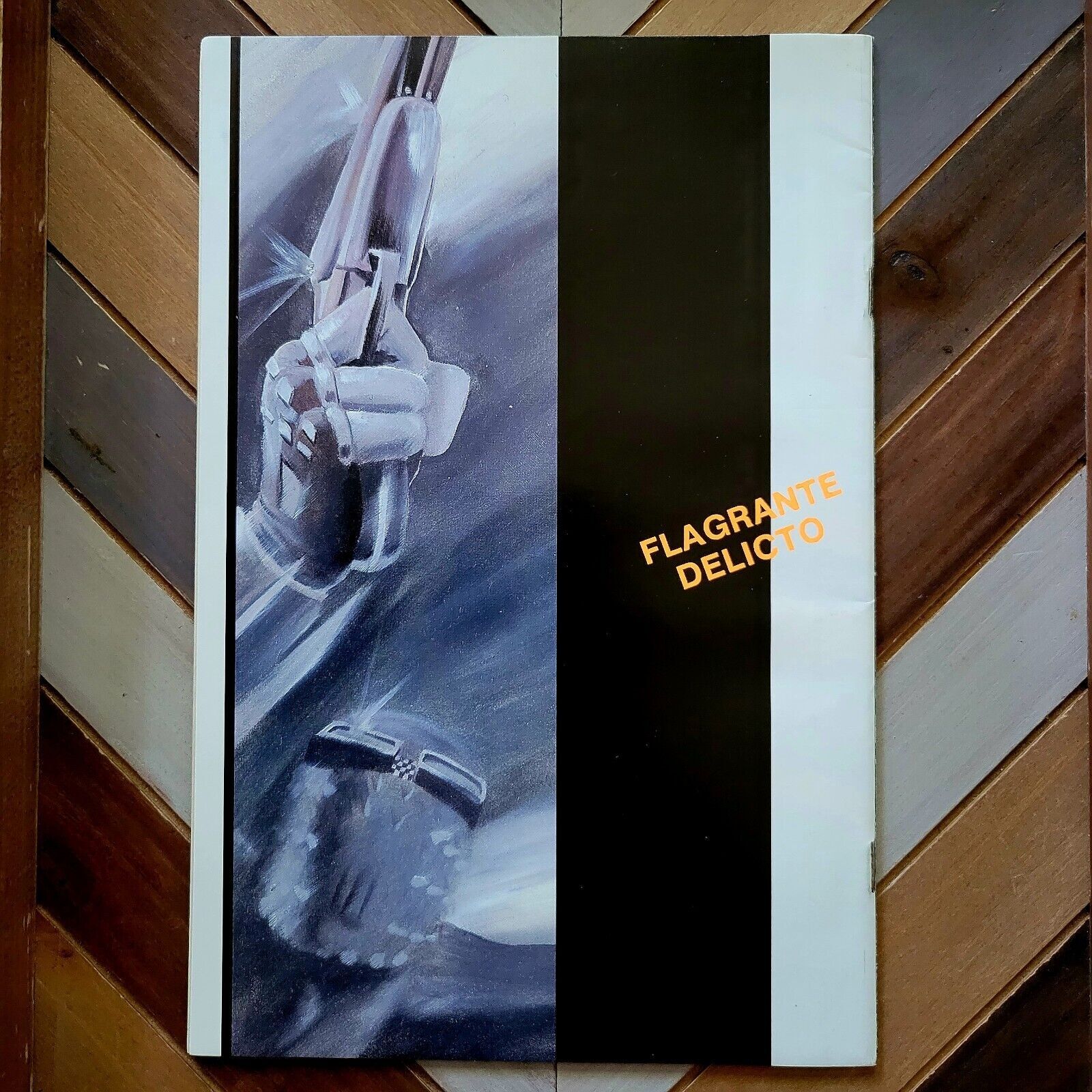 ICON DEVIL #1 (SPIDER OPTICS 1989) Premiere Issue / Mini-Series / NEIL ...