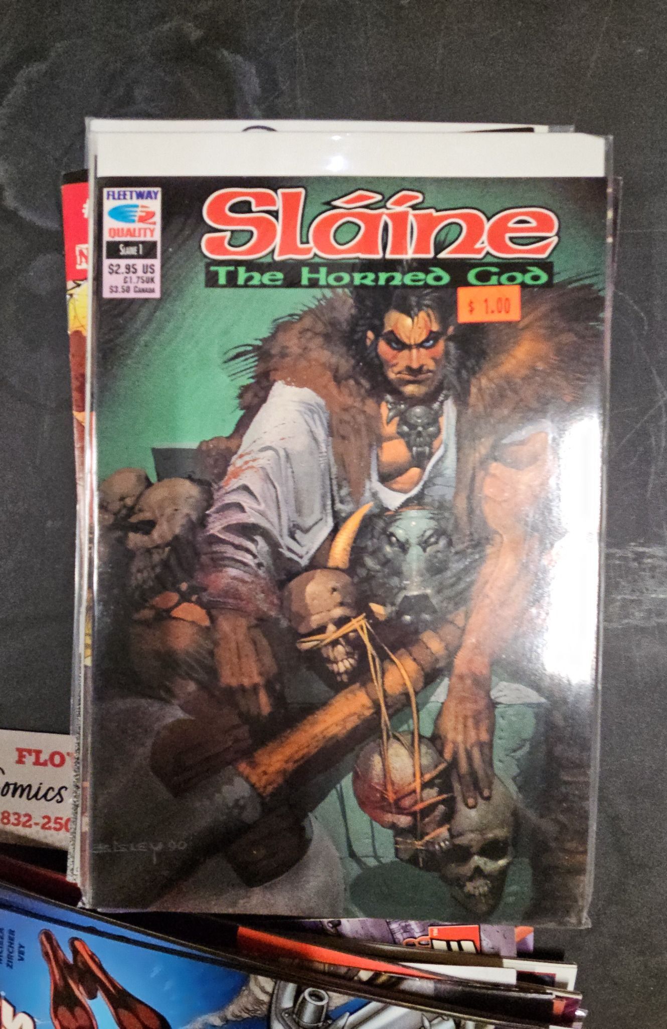 Slaine: The Horned God #1 (1993) | Comic Books - Modern Age, Superhero ...