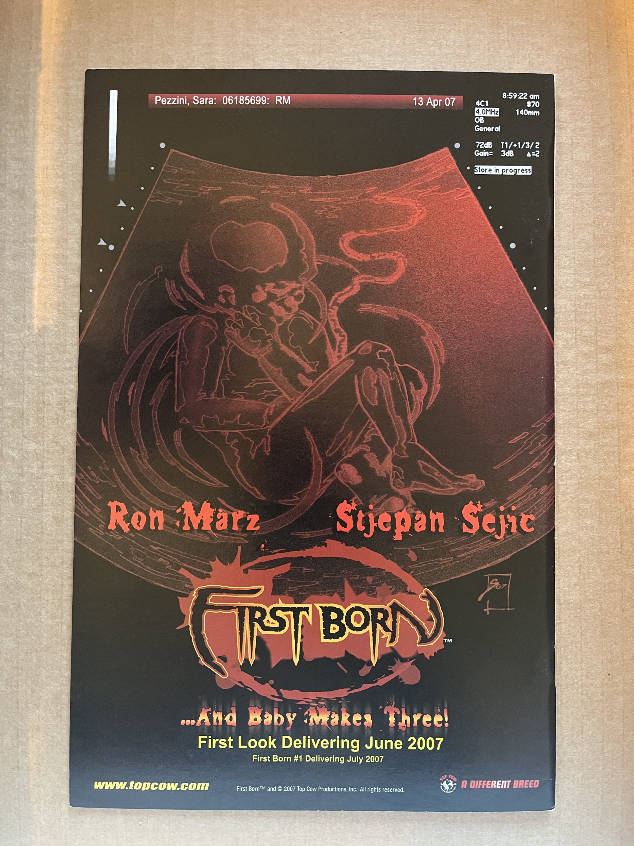 Witchblade Takeru Manga #6 NM HTF Low Print Series Sexy Risque Art ...