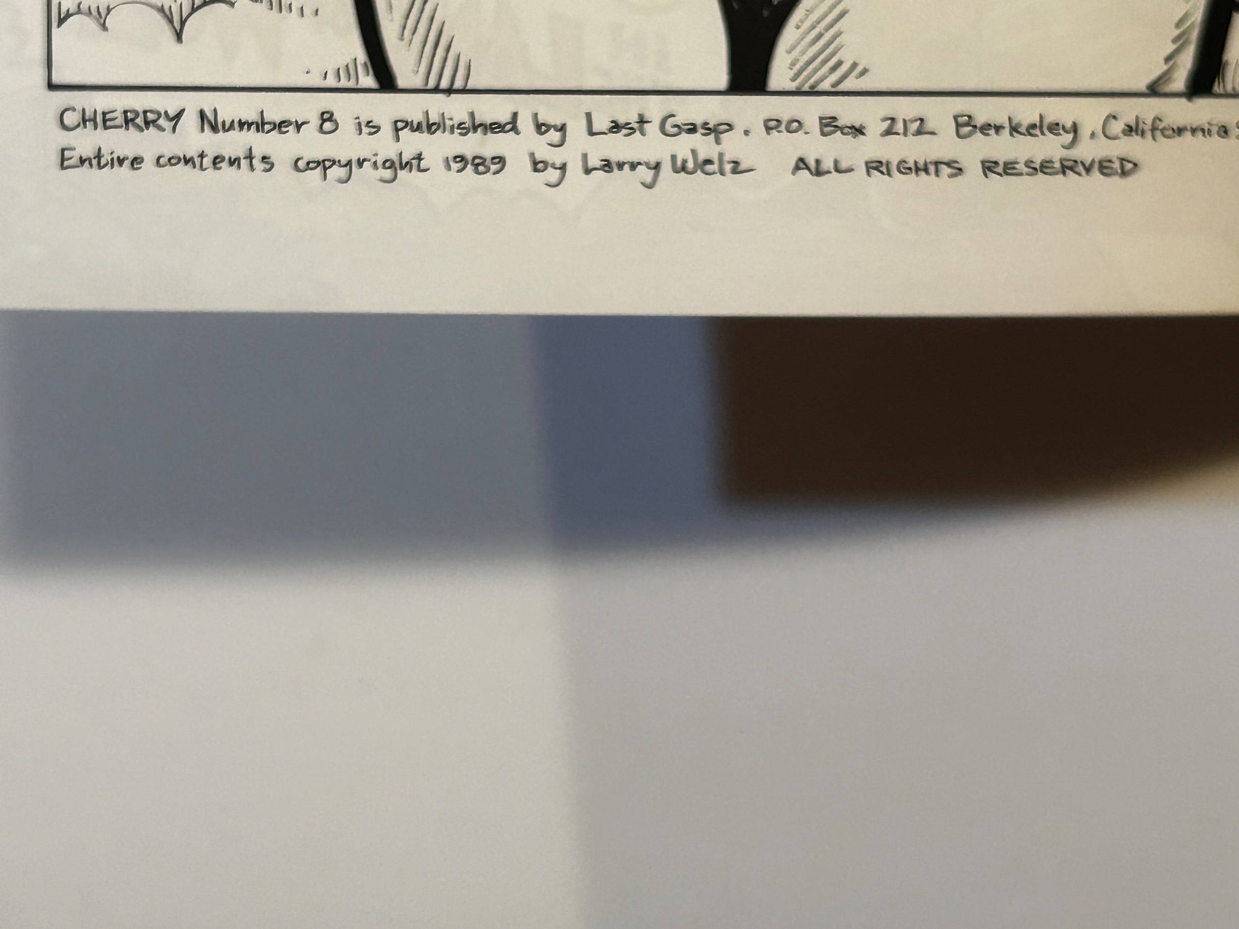 Cherry Poptart #8 (1989) 1st Printing, SPECIAL CYBERPUNK ISSUE | Larry ...