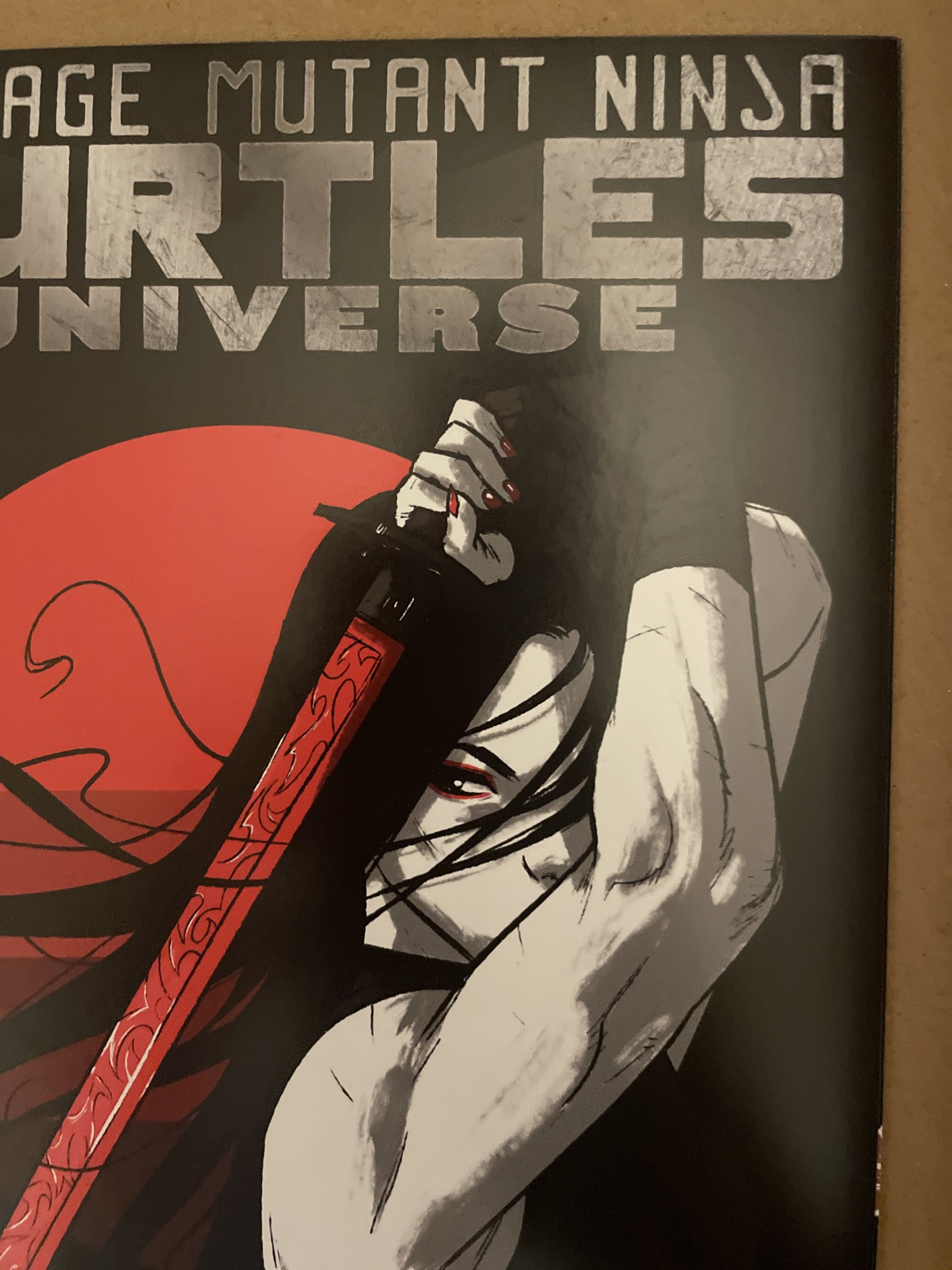 Teenage Mutant Ninja Turtles Universe #12 VF Very HTF Incentive Variant ...