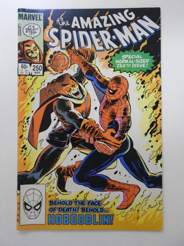 The Amazing Spider-Man #250 (1984) Awesome Cover vs Hobgoblin ...