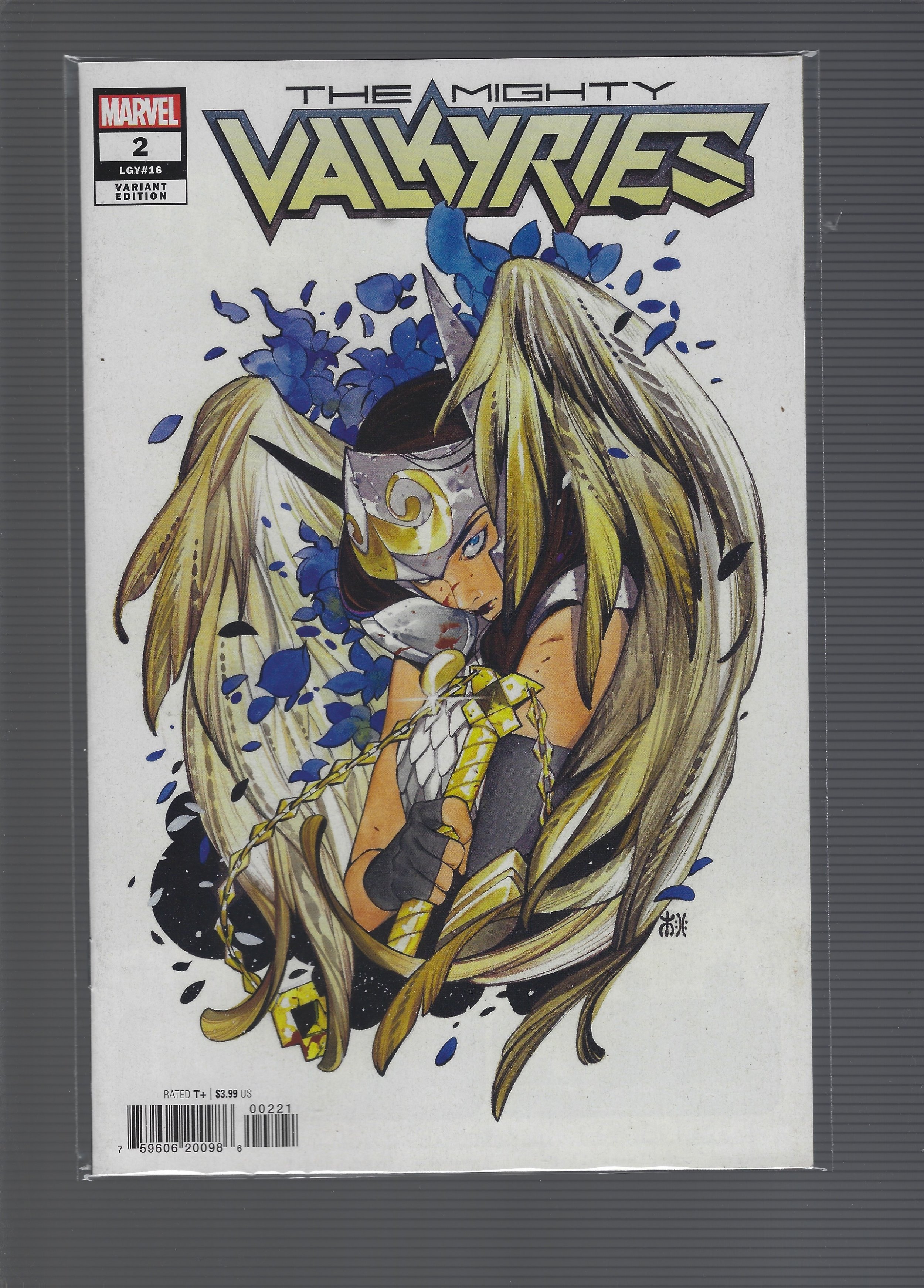 The Mighty Valkyries #2 Variant | Comic Books - Modern Age / HipComic