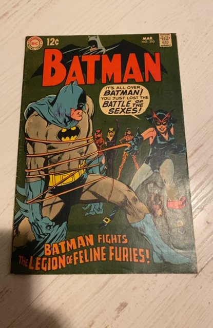 Batman #210 (1969)Legion of feline furies/ see description | Comic ...