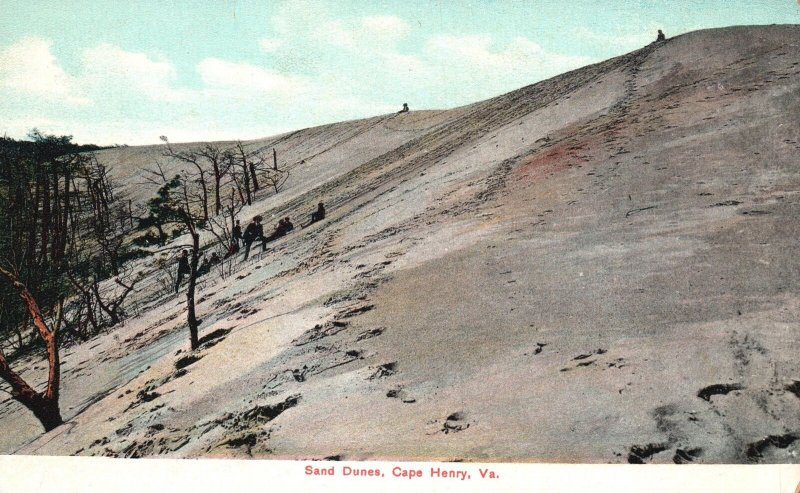 Vintage Postcard Sand Dunes Recreation Cape Henry Virginia VA American ...