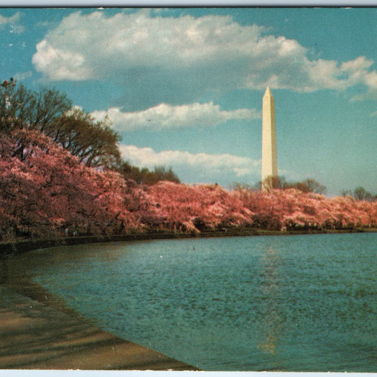 c1960s Washington DC 555 Feet Obelisk Monument Cherry Tree Marble ...