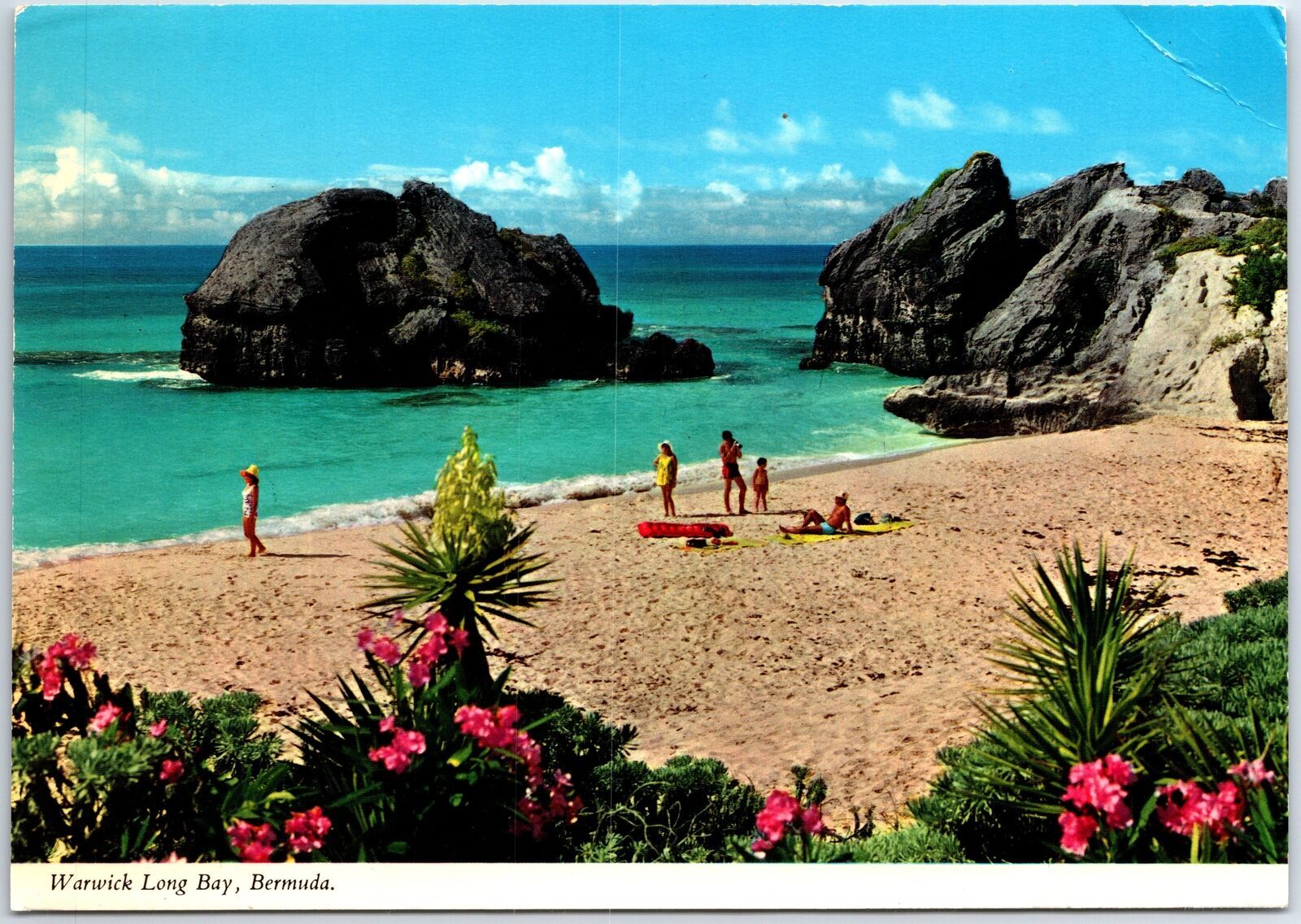 Vintage Continental Sized Postcard Warwick Long BAY Bermuda Loaded With ...