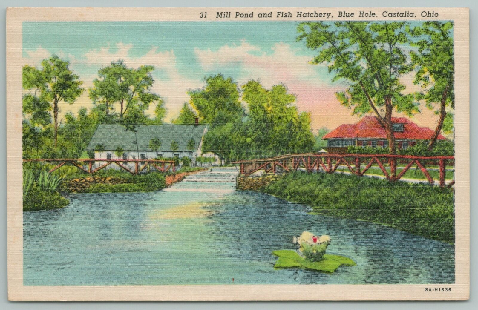 Castalia Ohio~Blue Hole Mill Pond & Fish Hatchery~Vintage Postcard ...