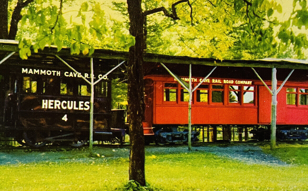 Vintage Postcard Mammoth Cave Railroad Hercules Kentucky National Park ...
