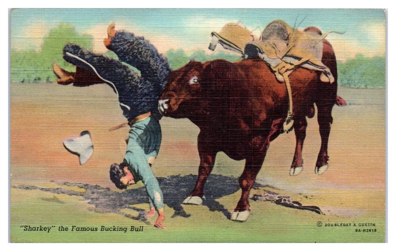 Mid-1900s Sharkey the Famous Bucking Bull, Rodeo Cowboy Western ...