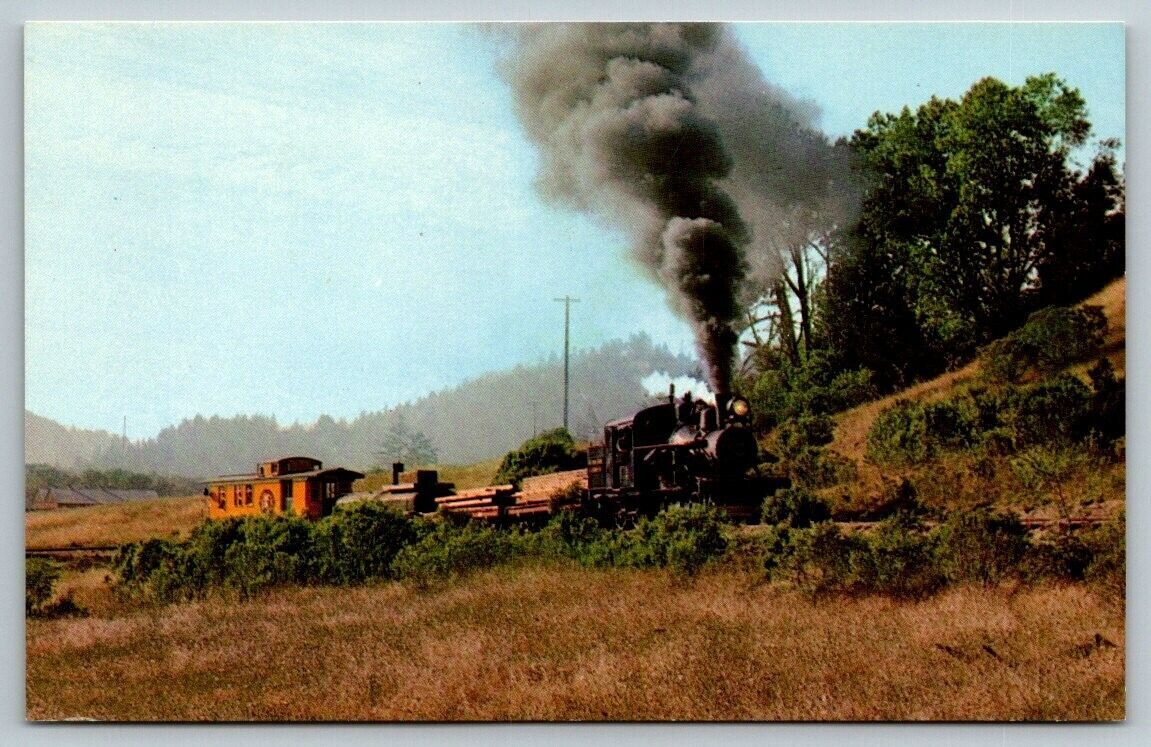 Narrow Gauge Felton California Train Railroad Postcard | United States ...