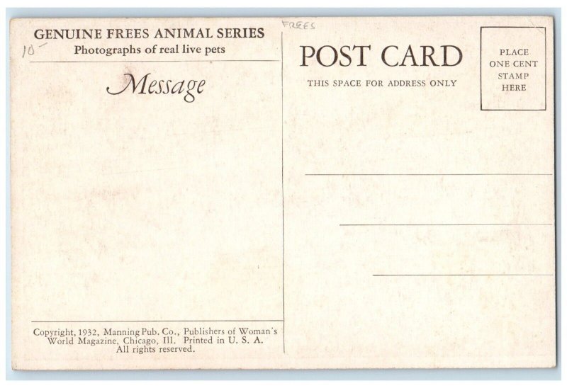 Anthropomorphic Cats Catch Fish There'll Be Big Old Home Tonight Frees ...