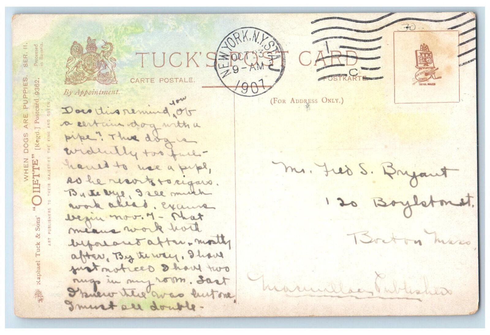 New York NY Postcard Two Jack Russell Dogs Biting Tobacco 1907 Oilette ...