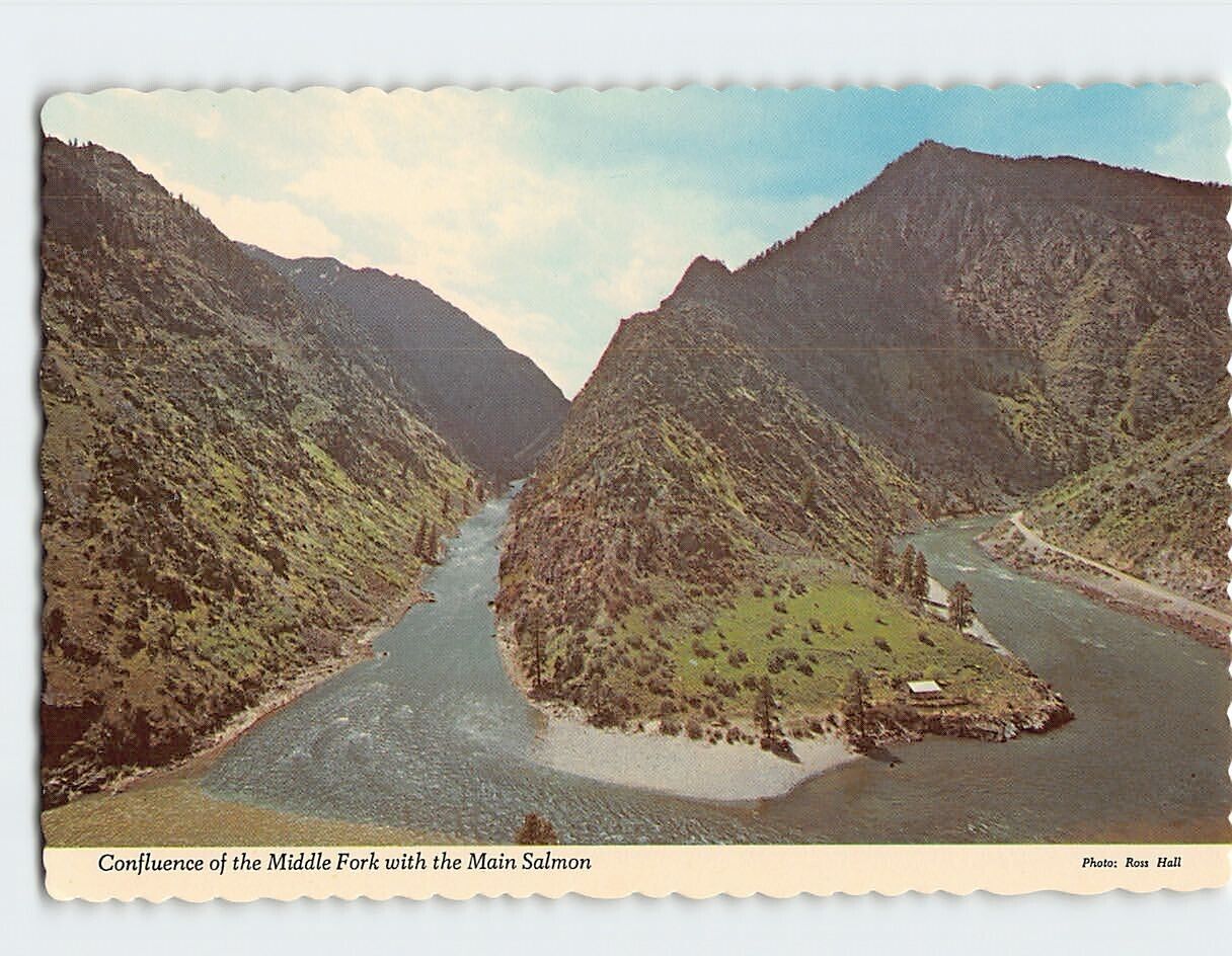 Postcard Confluence of the Middle Fork with the Main Salmon, Idaho ...