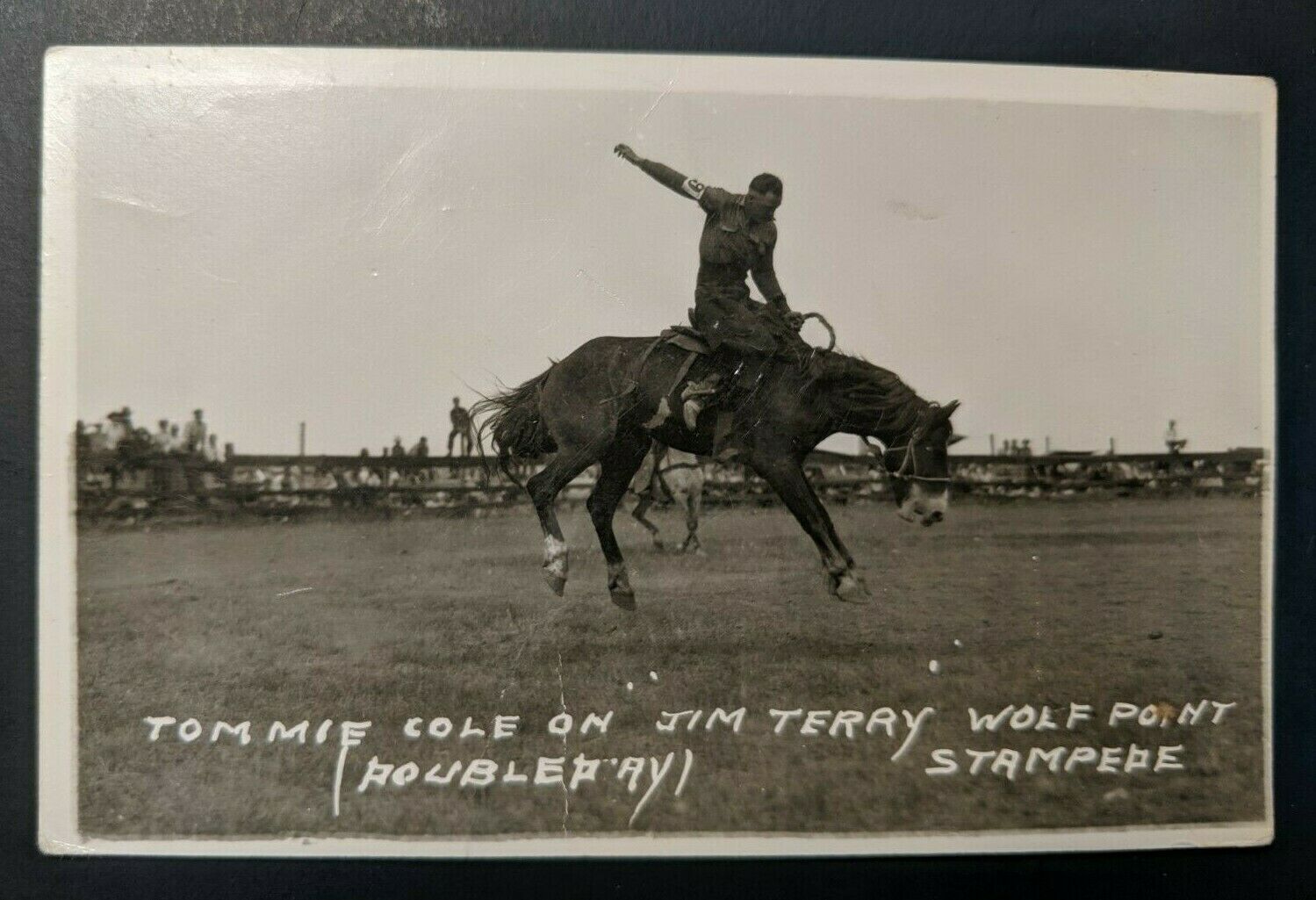 Mint Vintage Tommie Cole on Jim Terry Wolf Point Stampede Doubleday ...