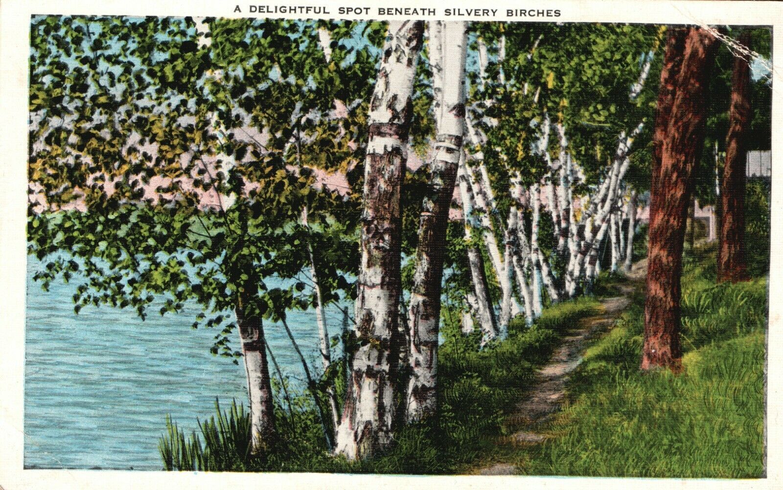 Vintage Postcard 1920's A Delightful Spot Beneath Silvery Birches Pub E ...
