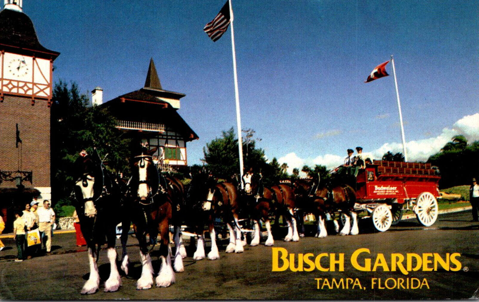 Florida Tampa Busch Gardens The Anheuser-Busch Clydesdales | United ...