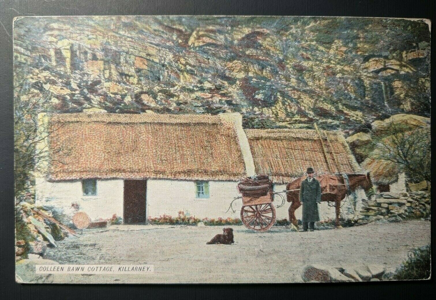 Mint Vintage Colleen Bawn Cottage Killarney Ireland Color Real Picture ...