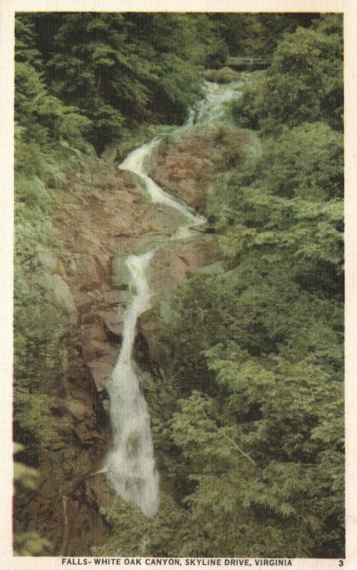 Vintage Postcard 1939 Falls White Oak Canyon Waterfalls Skyline Drive ...