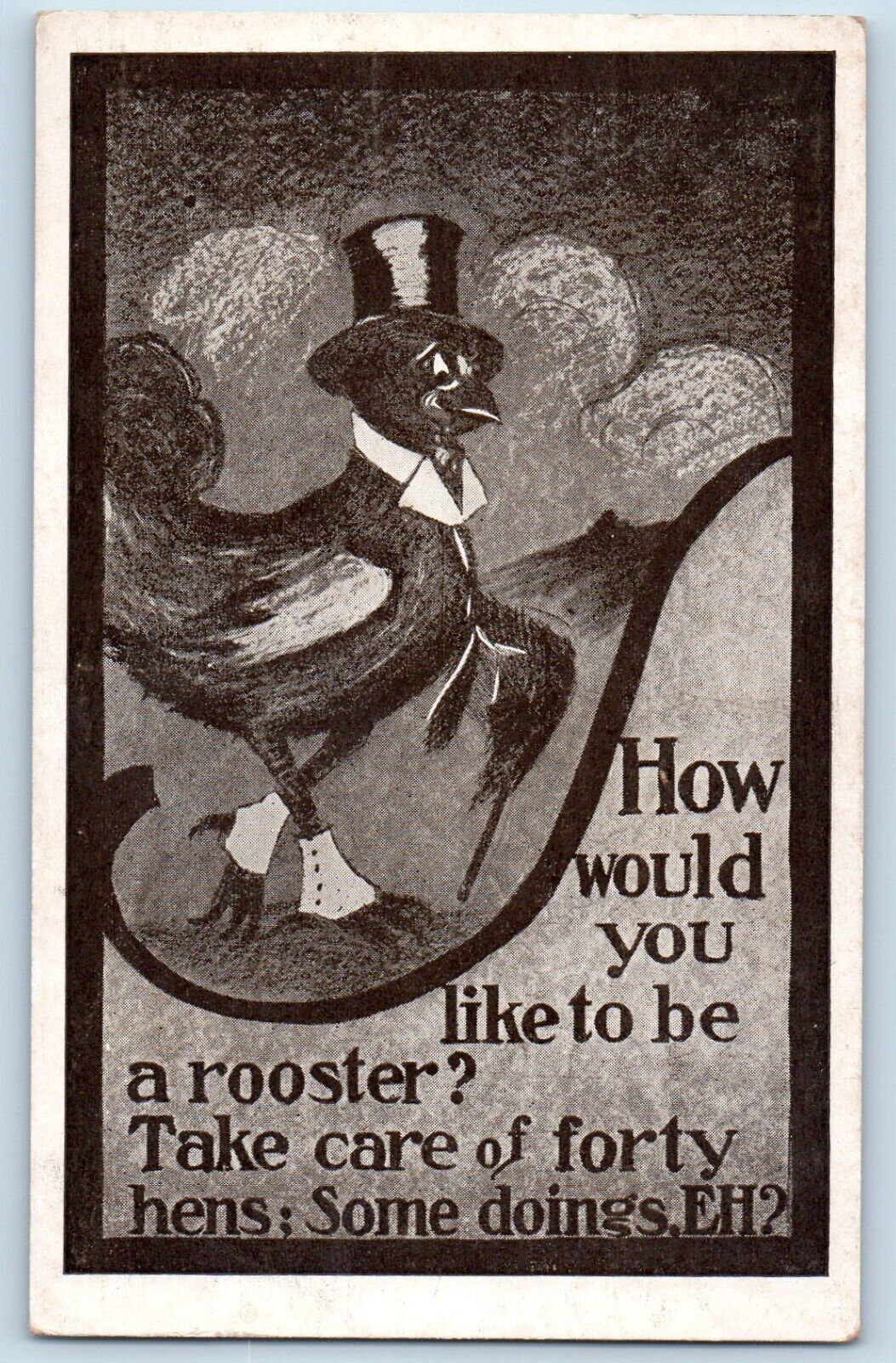 Humor Postcard Anthropomorphic Chicken How Would You Like To Be A ...