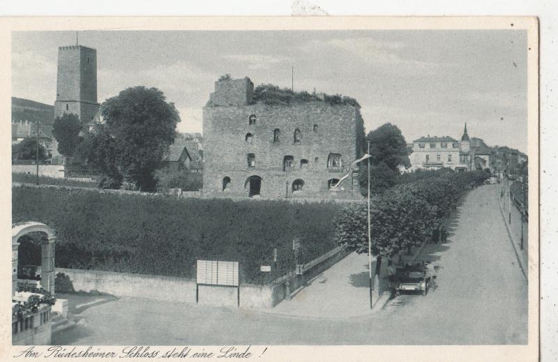 BF19144 am rudesheimer schloss sleht eine linde germany front/back ...