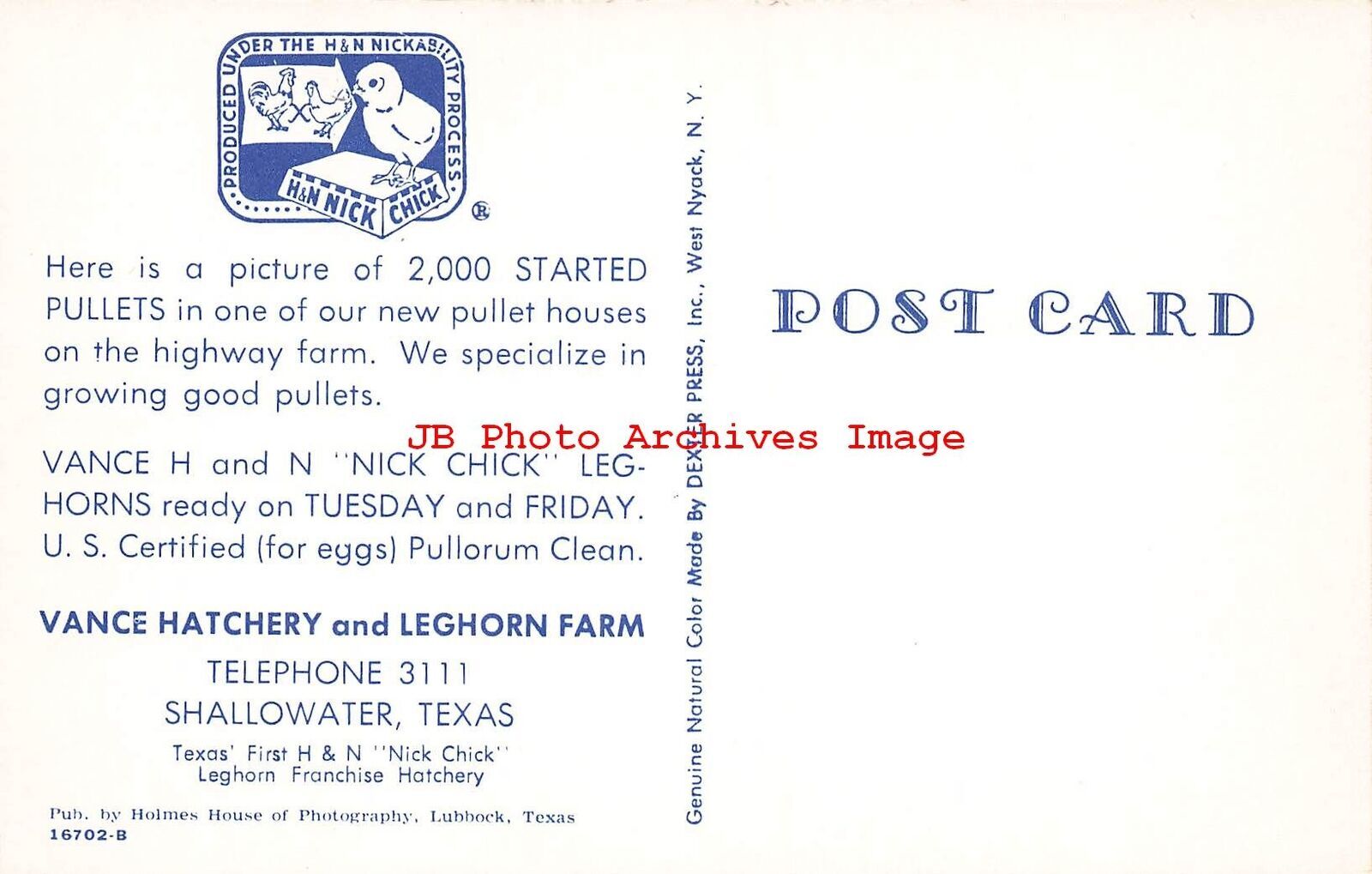 TX, Shallowater, Texas, Vance Hatchery, Leghorn Farm, Chickens, DP No ...