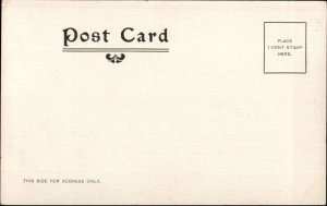 Brockton MA Fair Diavolo Bicycle Loop Stunt Fred Matthiessen Postcard ...