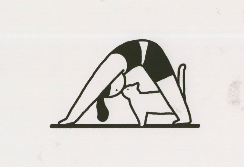 Cats Gymnastics PE Owner Kissing Cat Exercising Postcard | Topics ...