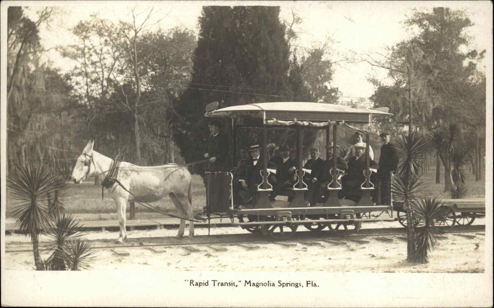 Magnolia Springs FL Rapid Transit Mule Drawn Trolley Real Photo ...