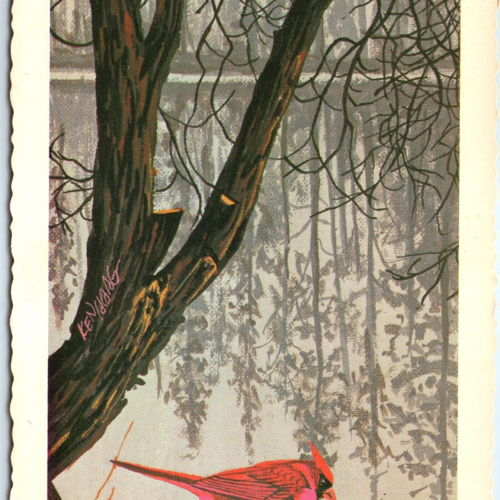 1968 KY Kentucky State Bird Cardinal Tree Swamp Ken Haag Painting Art ...