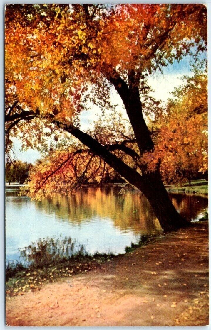 Postcard - Autumn color around the lagoon at Encanto Park - Phoenix ...
