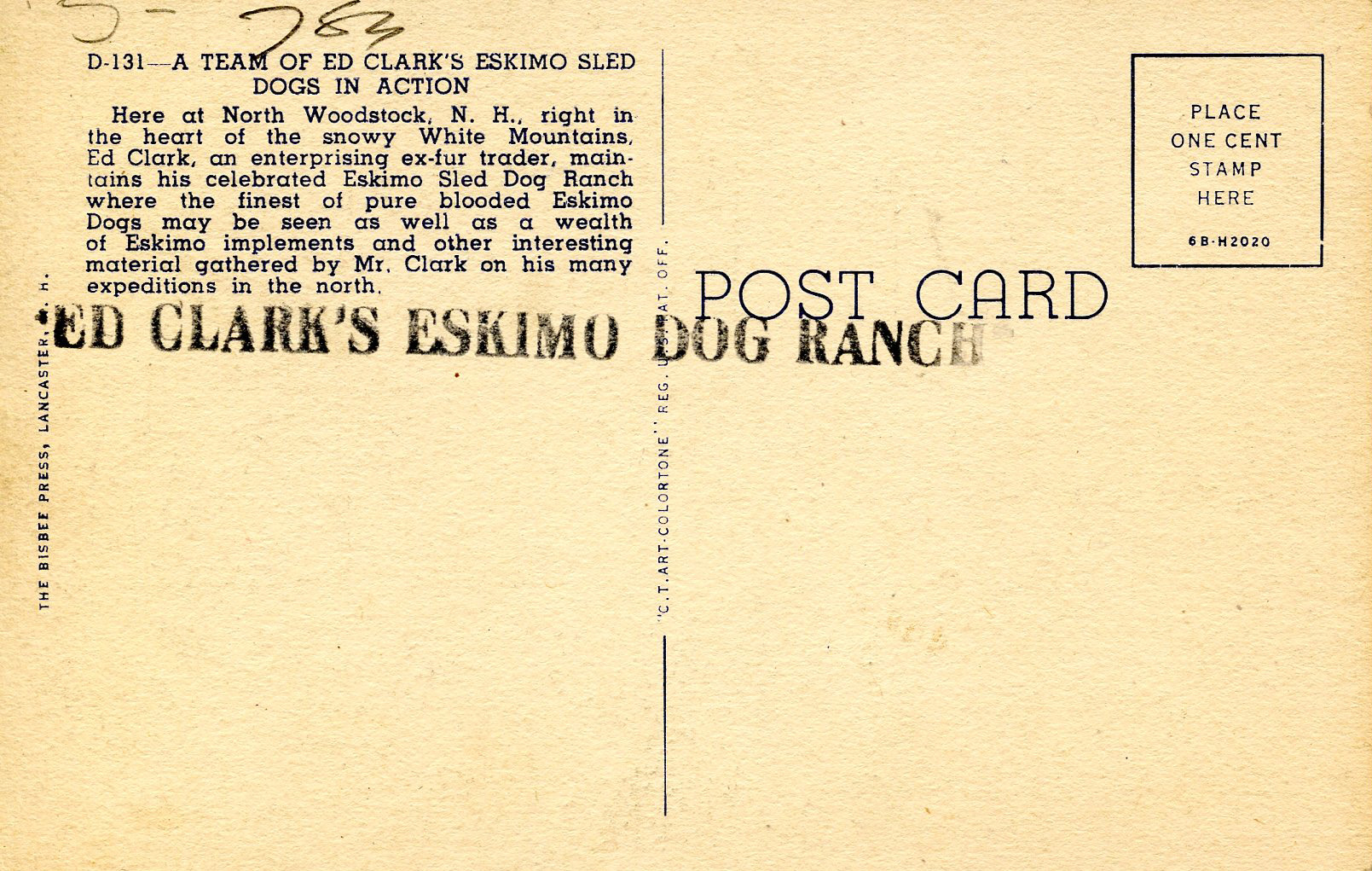 NH - North Woodstock. Ed Clark's Eskimo Dog Ranch. Sled Dog Team in ...