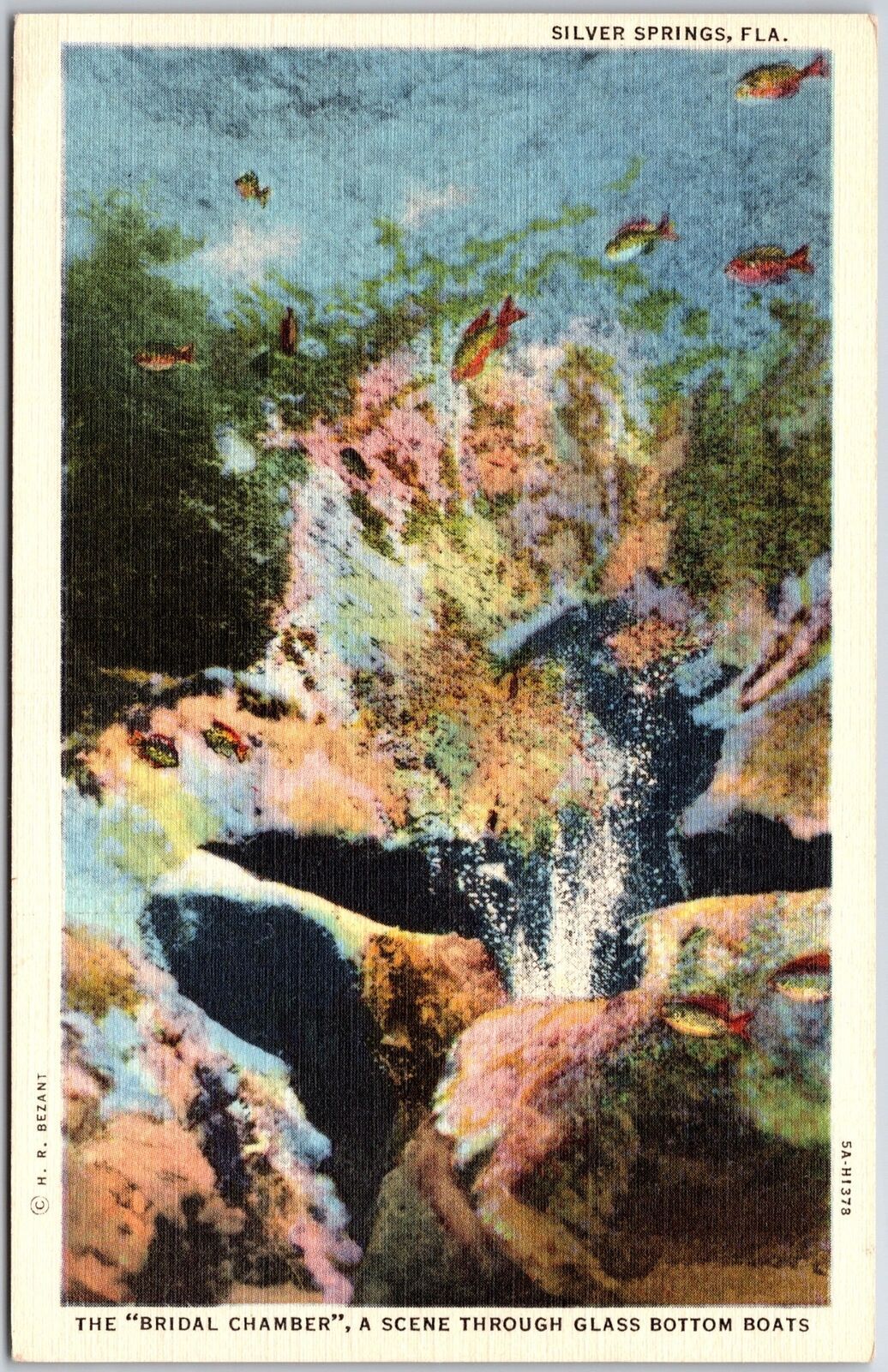 Bridal Chamber Scene Through Glass Bottom Boat Silver Springs Florida ...