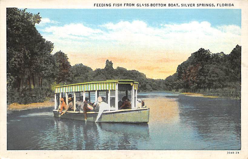 Feeding fish from glass bottom boat Silver Springs, Florida USA Feeding ...