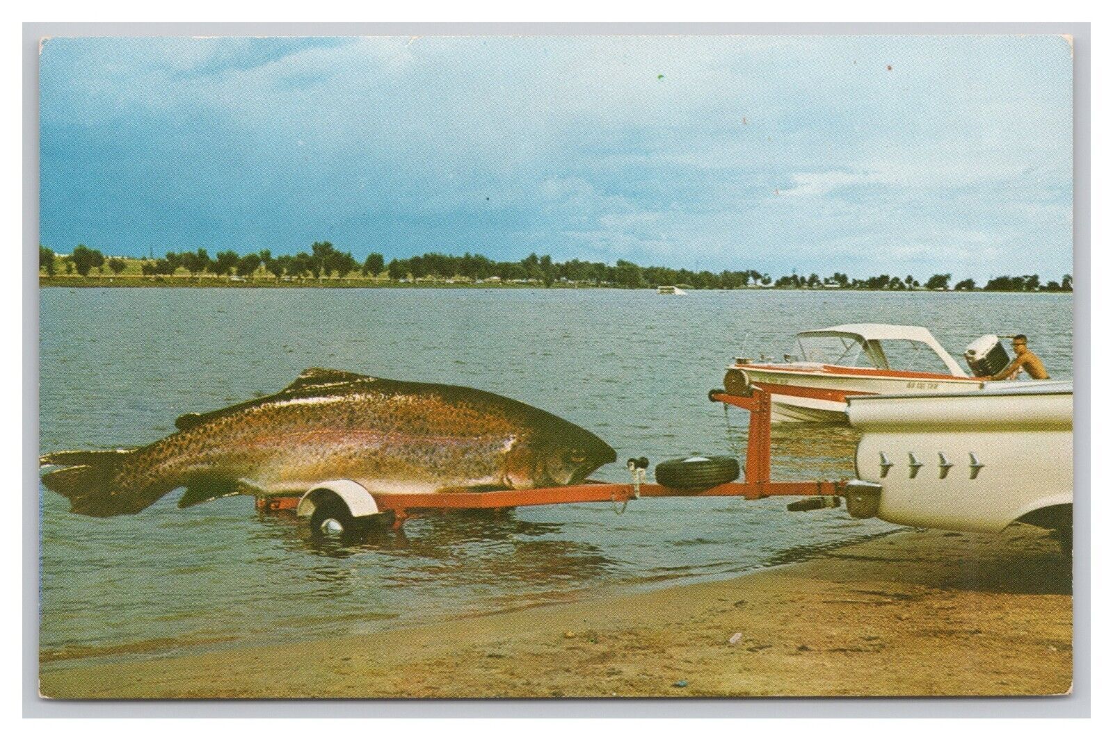 Catch Is A Little Larger Than Most Postcard Fish Exaggeration Old Boat ...