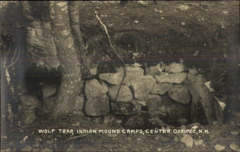 Center Ossipee NH Wolf Trap Indian Mound Camps Real Photo Postcard ...