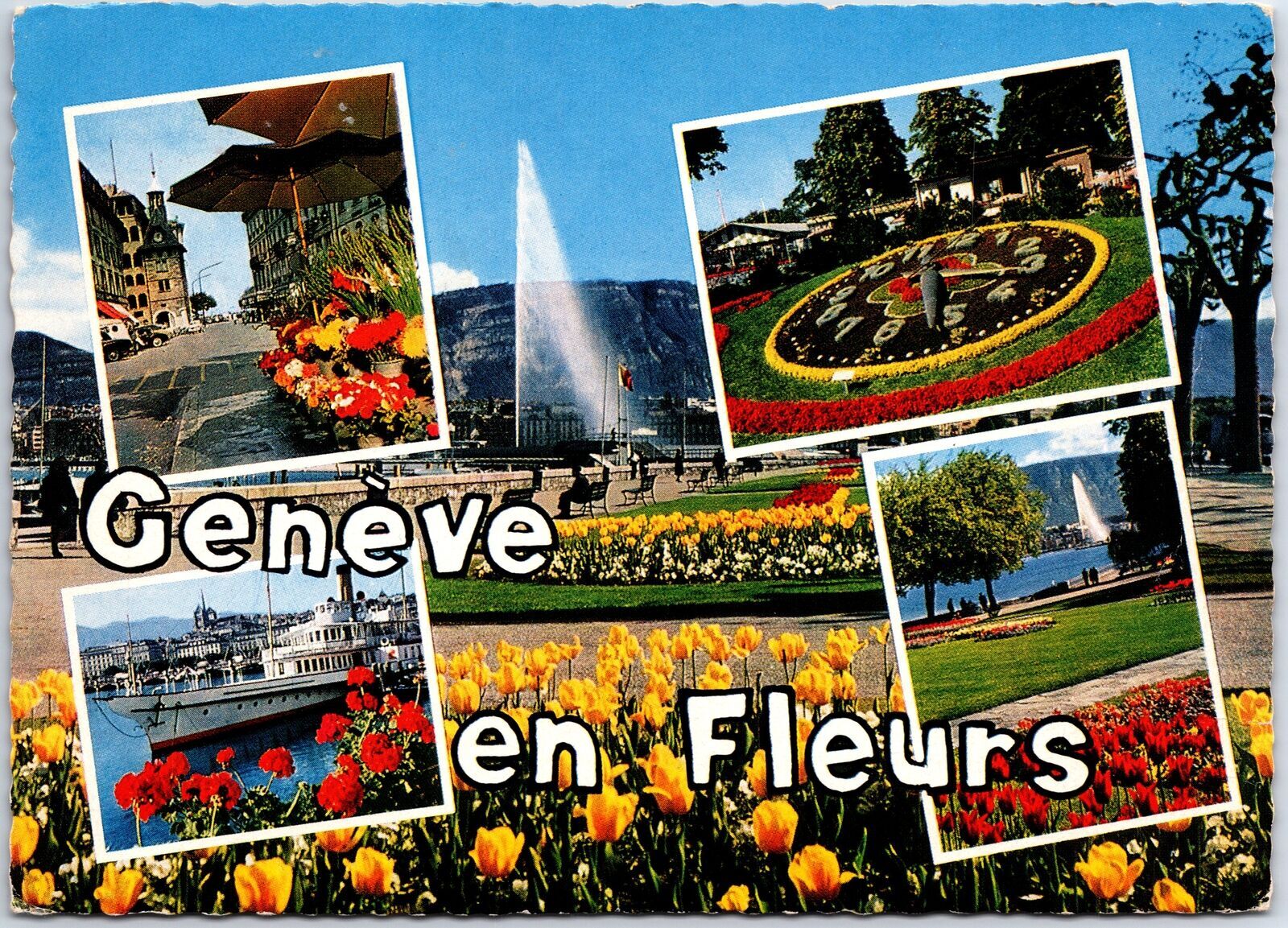 Vintage Continental Sized Postcard Colorful Flowers of Geneva ...
