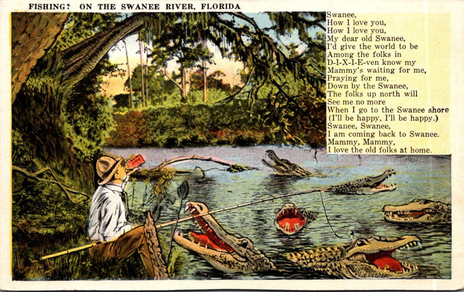 Alligators Fishing On The Swanee River Florida | Topics - Animals ...